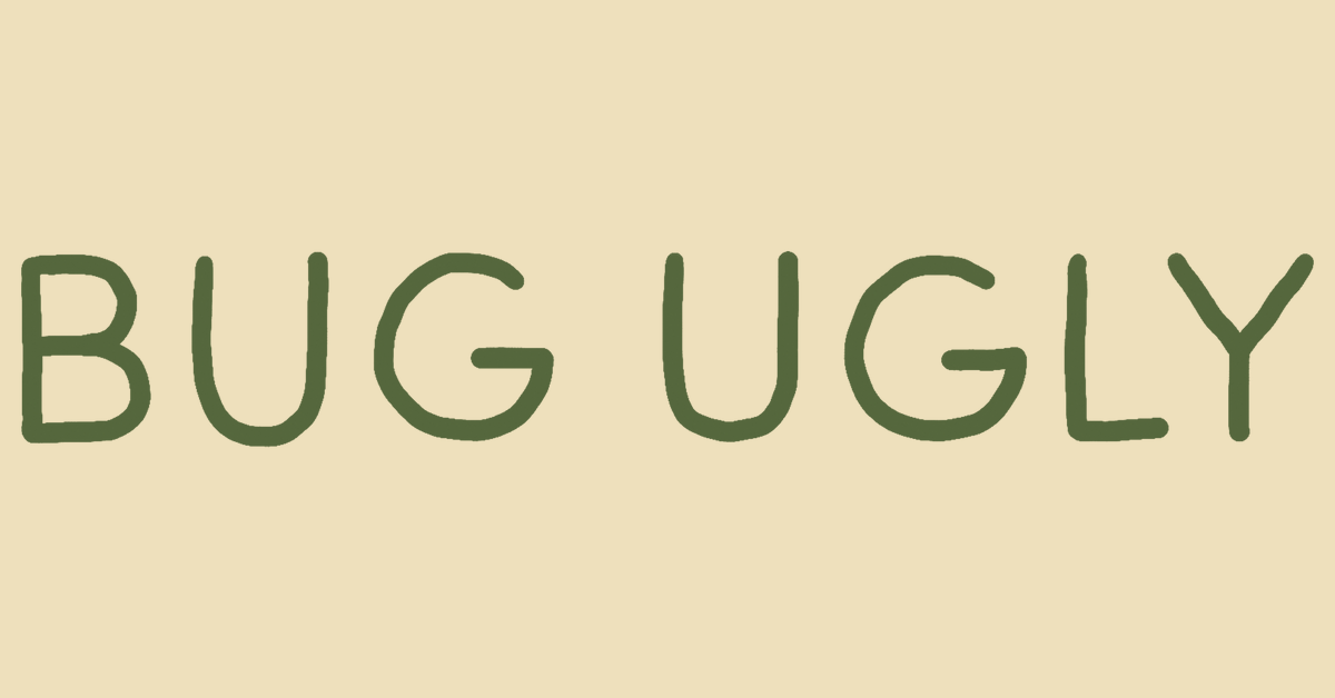Bug Ugly Studio